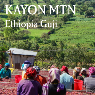 Ethiopia Kayon Mountain | Beanberry Coffee Company